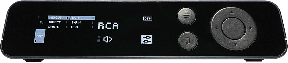 What can I do on the Hub DSP Receiver screen?